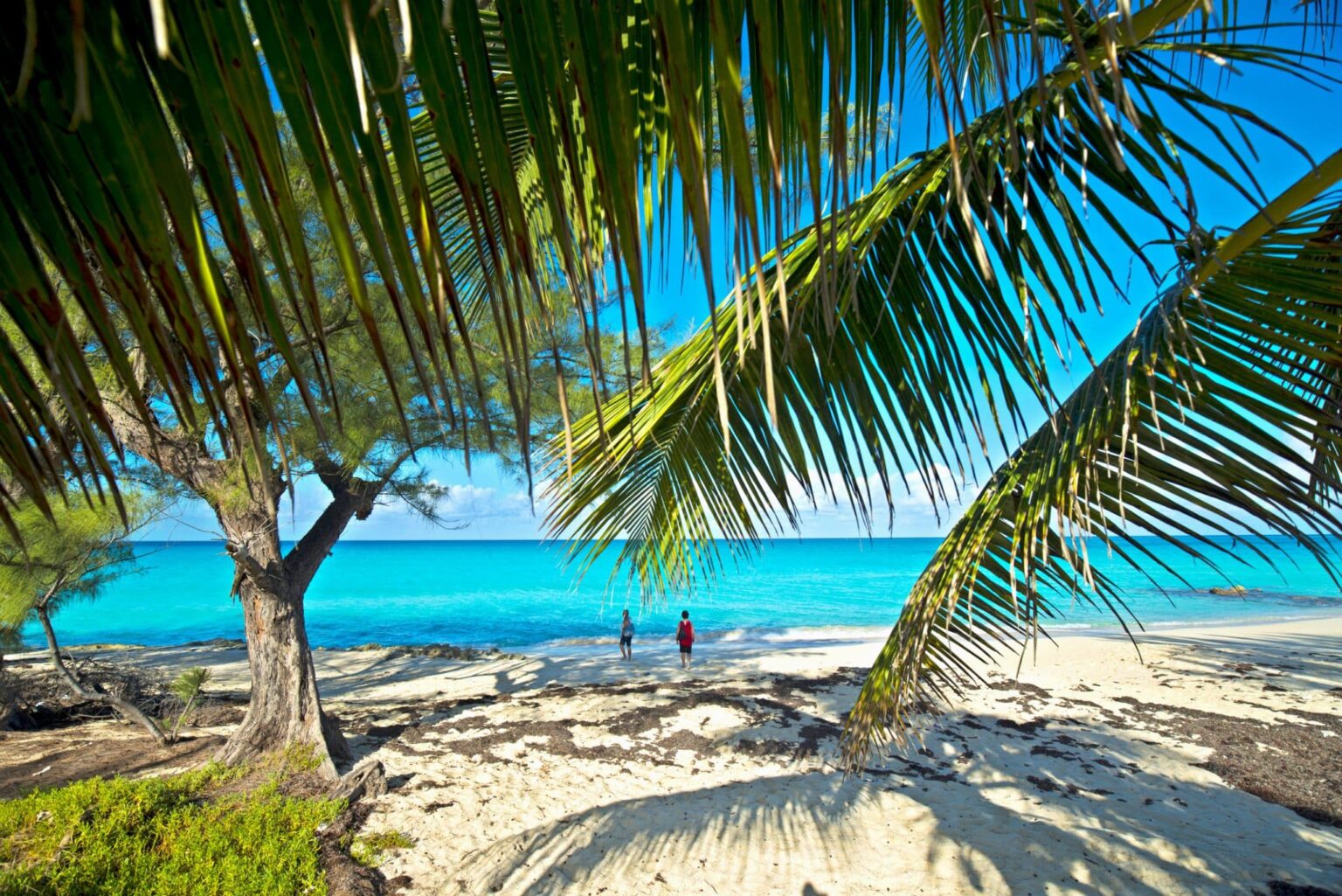 "Descubre las 12 experiencias inolvidables en Bimini, Bahamas: La guía ...